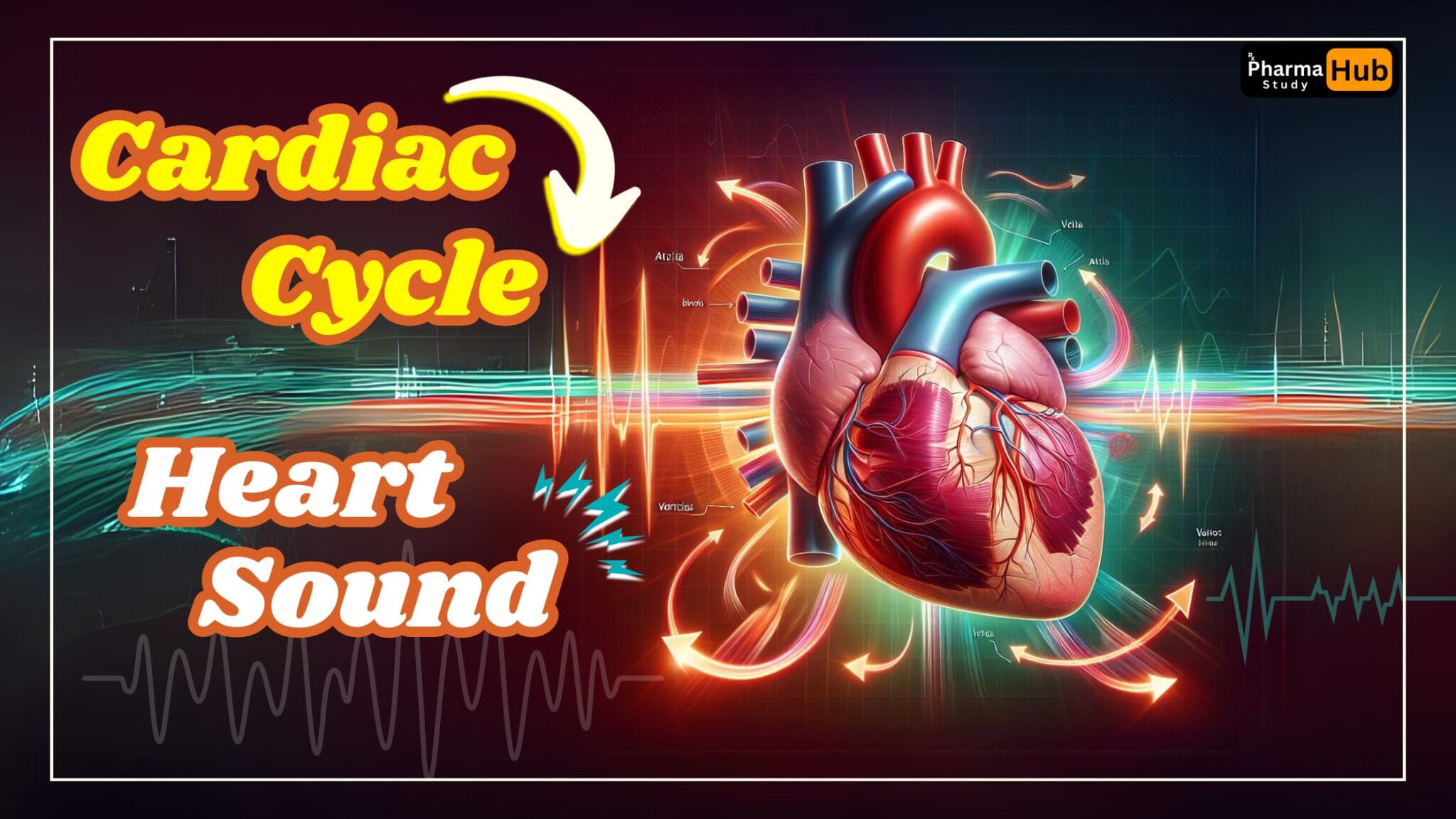 Understanding the Cardiac Cycle and Heart Sounds!