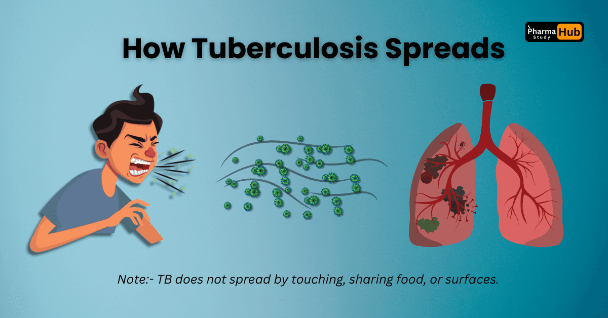 Tuberculosis Explained: Symptoms, Diagnosis, Treatment & Global Efforts ...